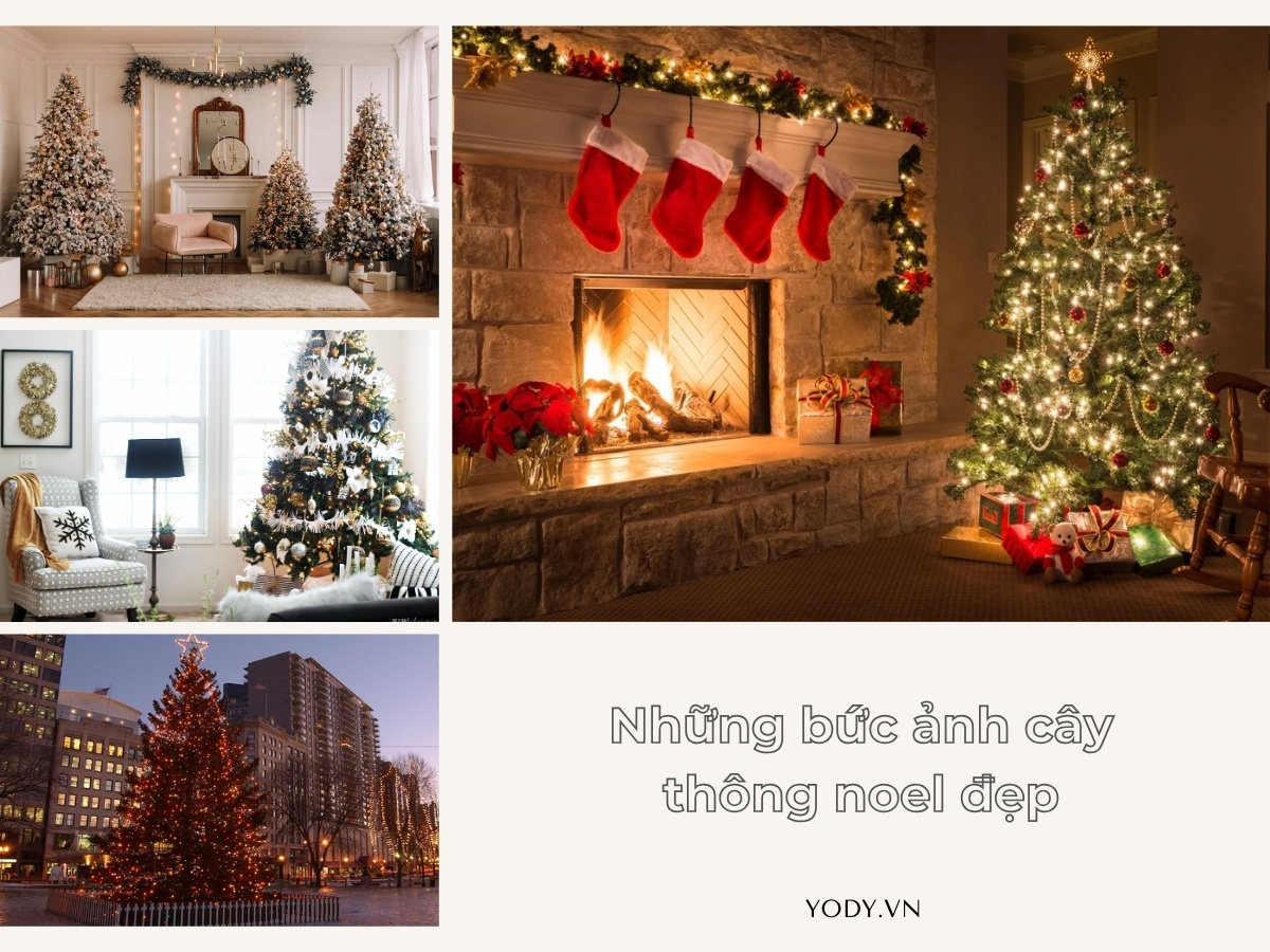 Trọn bộ 99+ hình ảnh cây thông Noel đẹp mê hồn, tải về miễn phí! | Yody